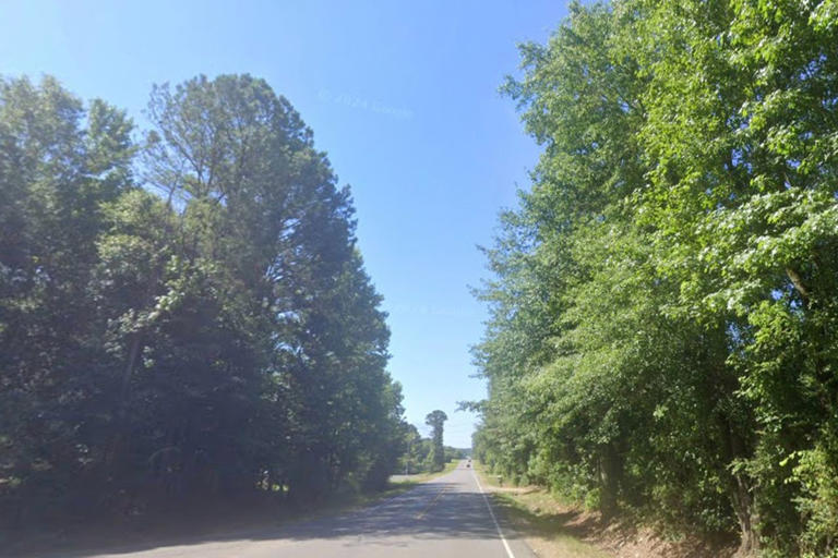 Missing boy, 4, was last seen with his dog. During the search, his dad ...