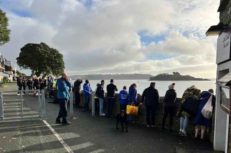 Seal fans warned to keep distance at Firestone Bay