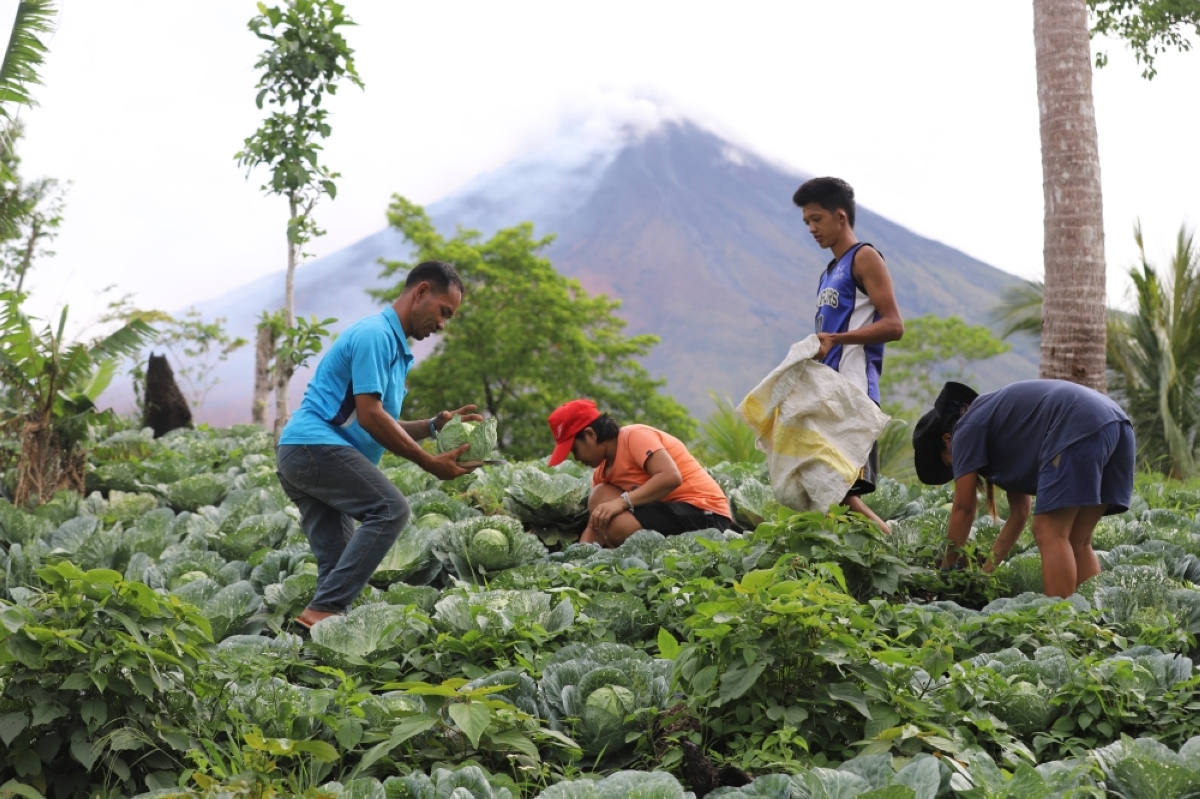 Albay gov orders strict no entry to Mayon's danger zone as volcano ...