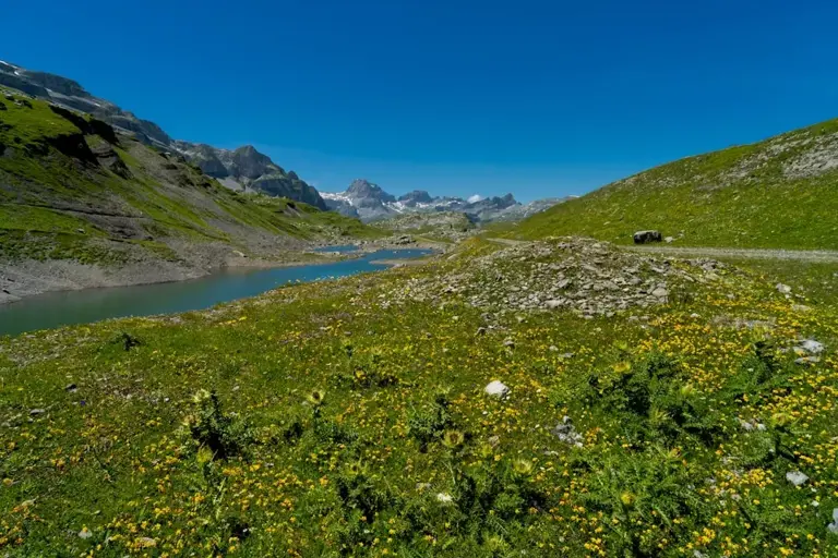 3 countries with the best tap water - and 3 where it's unsafe