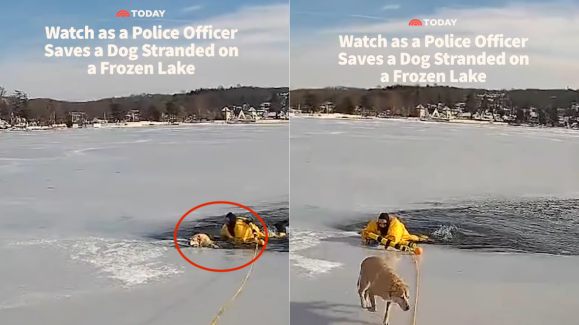Watch: Hero officer crawls onto thin ice to save drowning dog