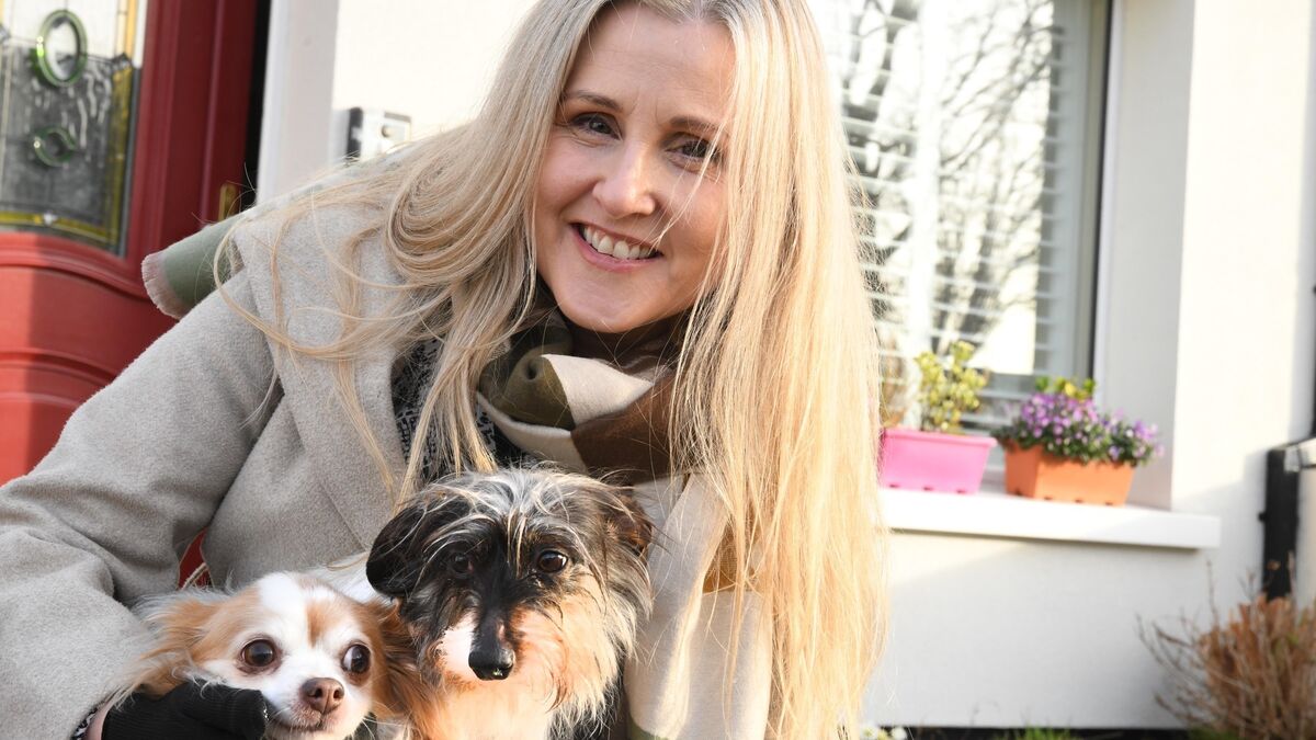 In a country where animal cruelty is widespread, have your say on ...