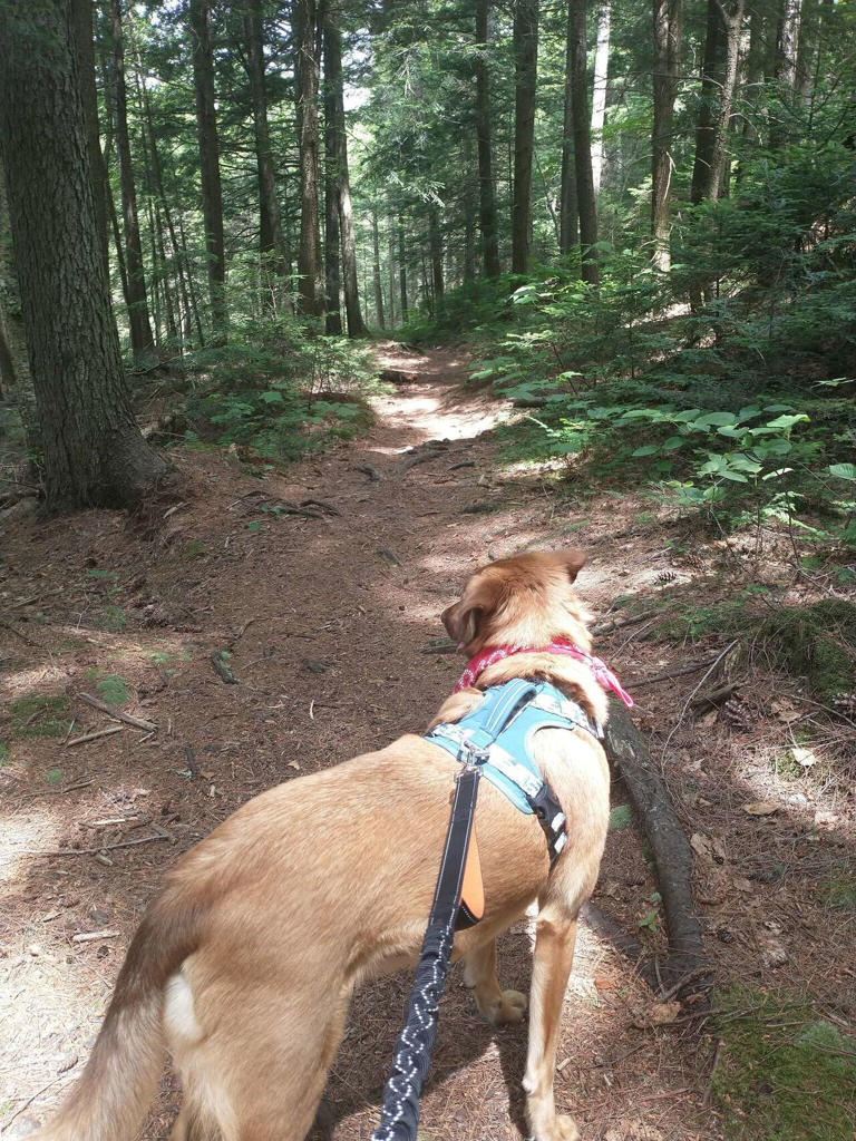 Scott: A look at some notable comments from readers in 2025