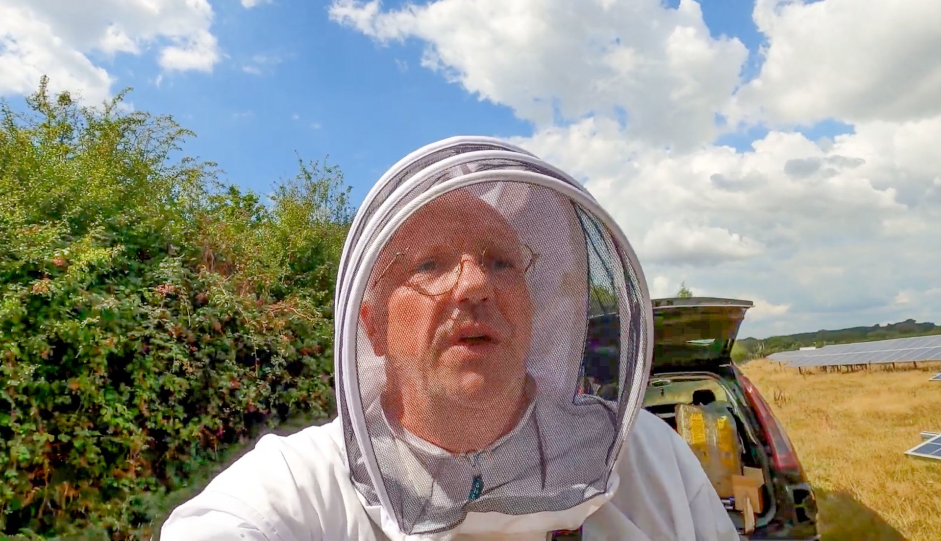 Amateur beekeeper dies after sting without helmet