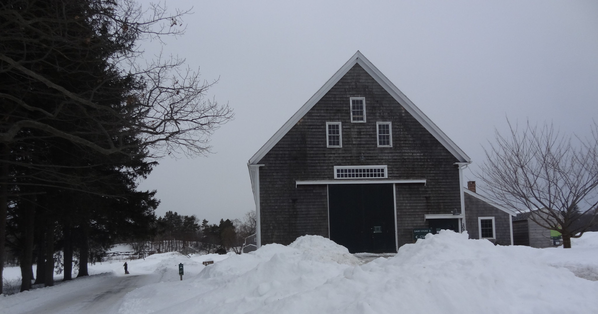 Massachusetts' sweetest winter treat is this homemade maple syrup tasting