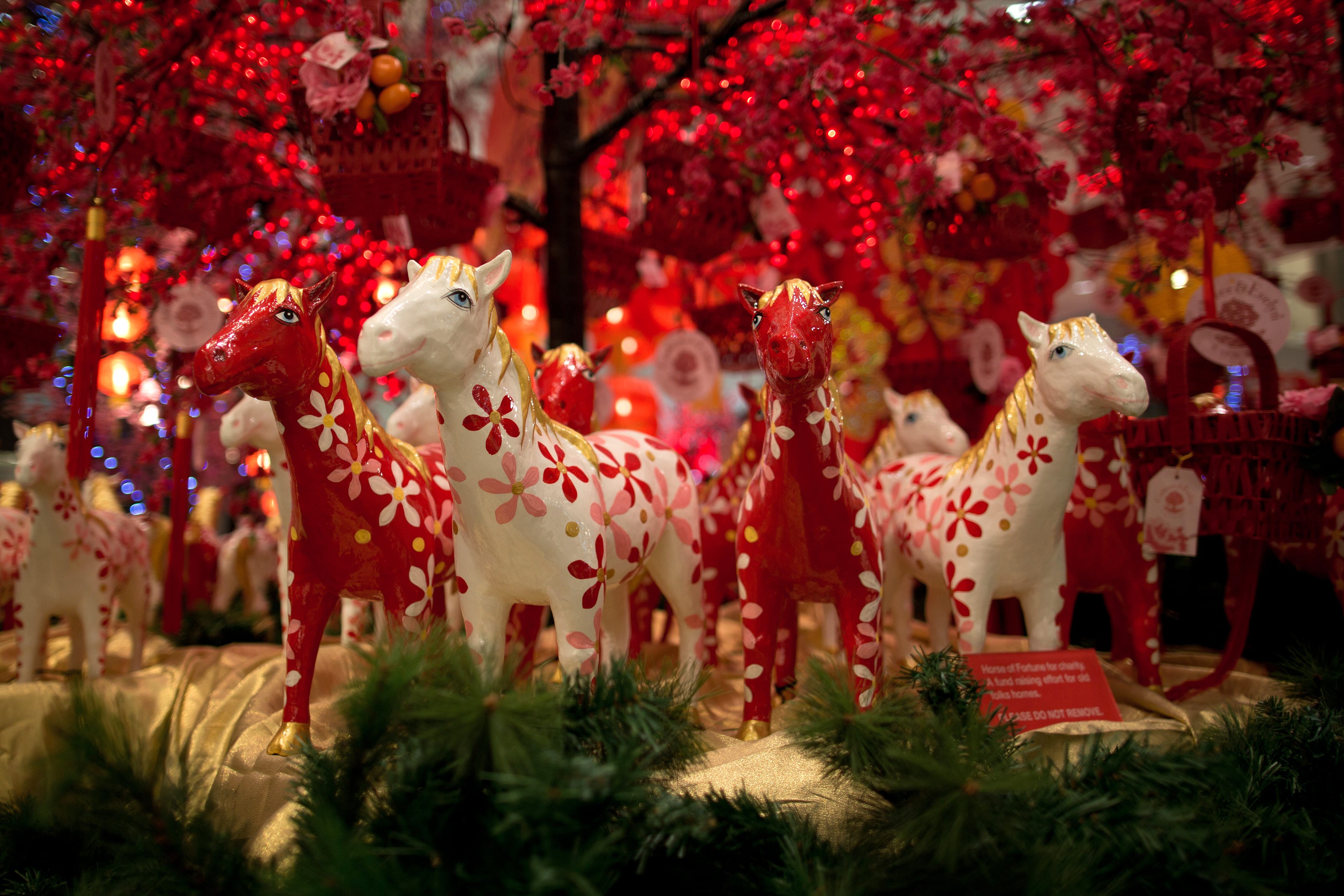 When is the Chinese New Year? In 2026, it's the Year of the Horse.