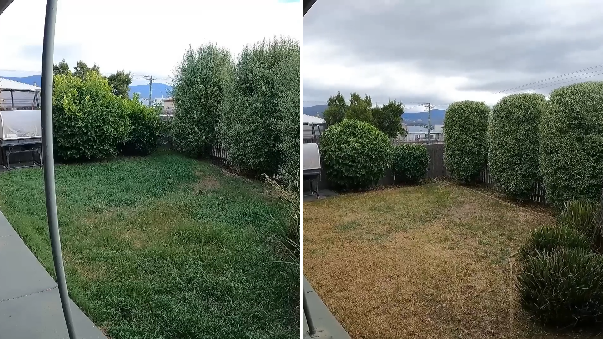 I transformed a neglected garden into paradise