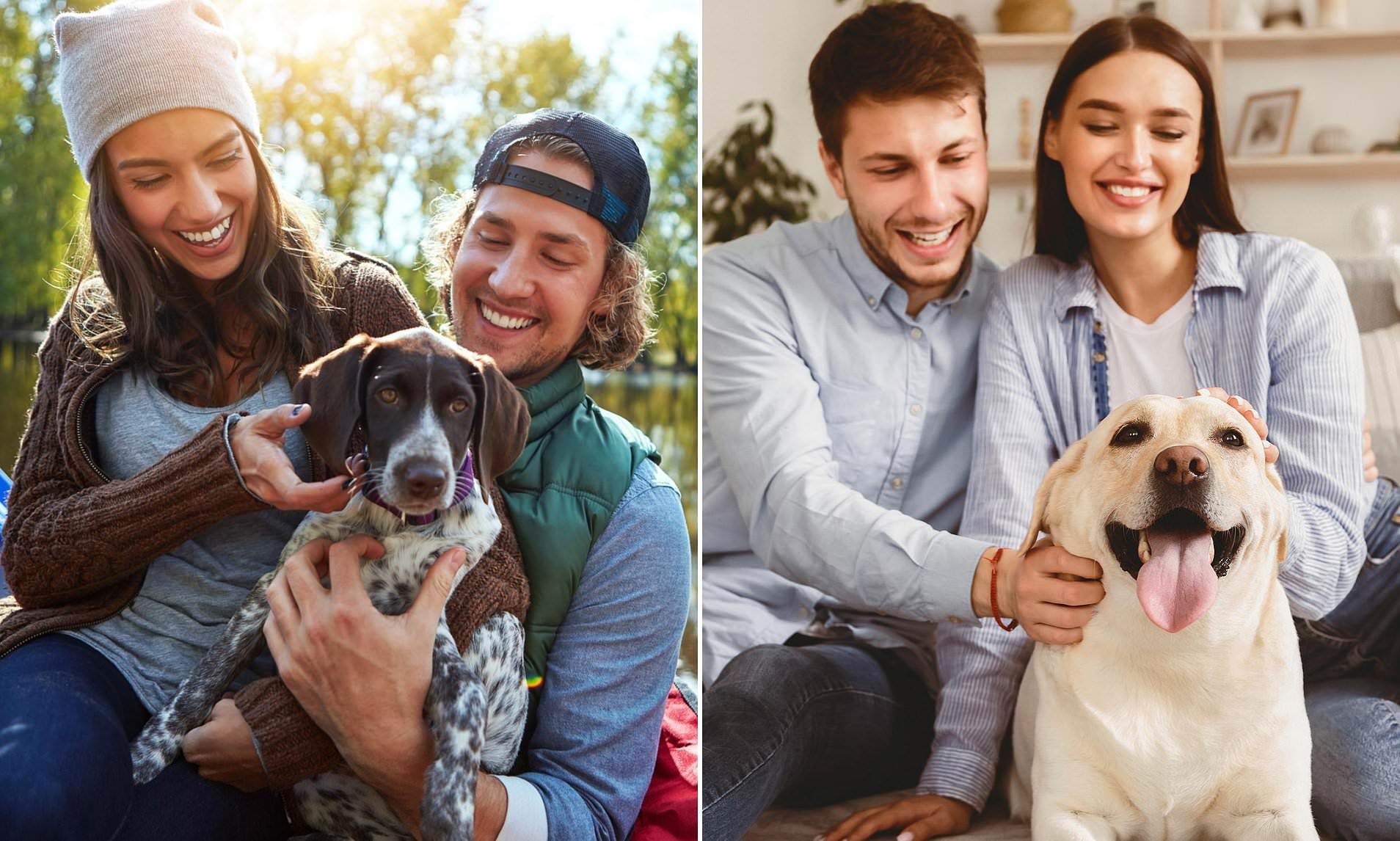 Dogs outnumber children in one in three neighbourhoods as young couples ...