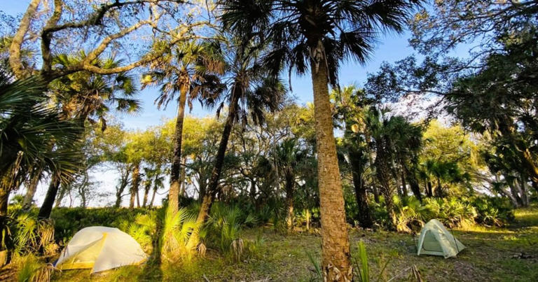 Discover the hidden natural wonder in this small Florida town
