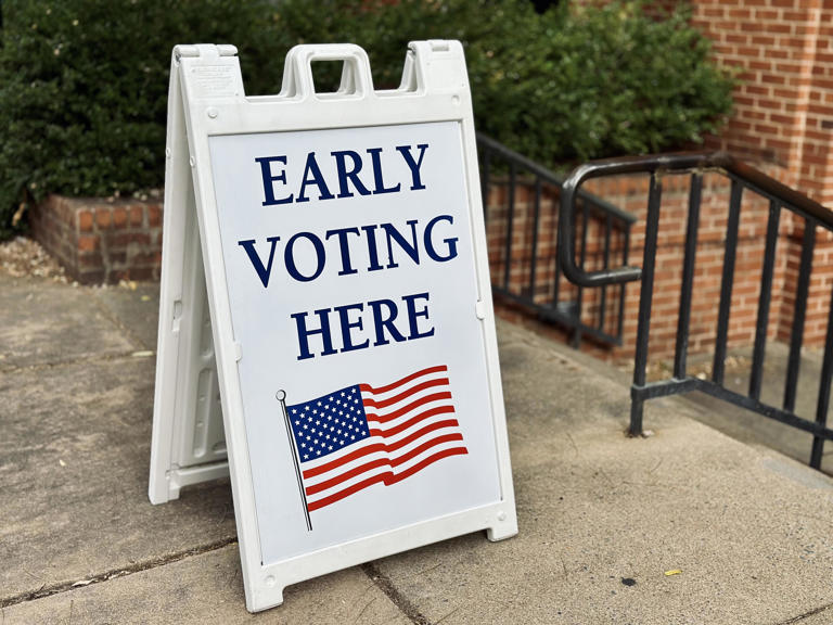 Saturday starts early voting for primary in Florida House District 87