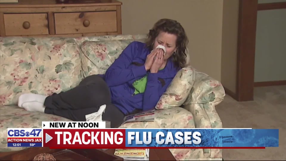 Tracking GA, FL flu cases