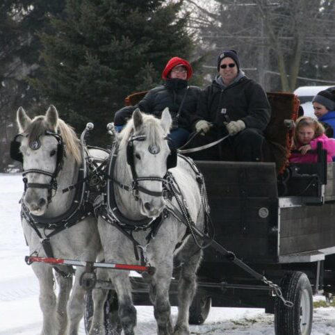 Apple Valley Mid-Winter Fest