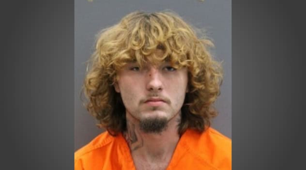 Speeding dispute turns violent: Tampa man charged with running down his ...