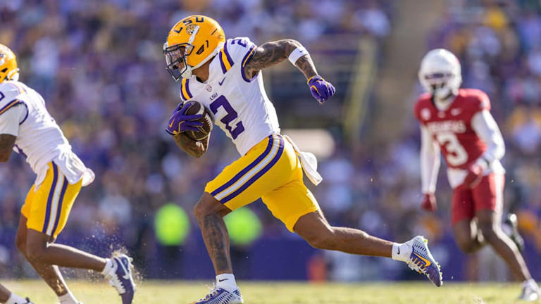 Former LSU football, Florida State wide receiver adds to Lane Kiffin's ...
