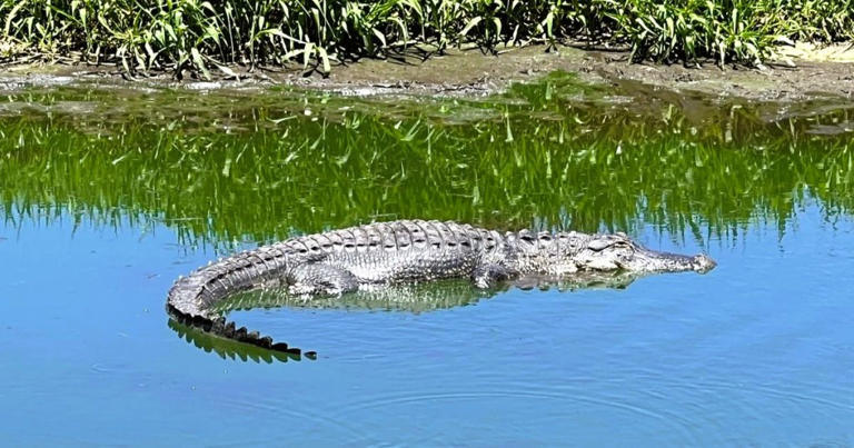 Discover the hidden natural wonder in this small Florida town
