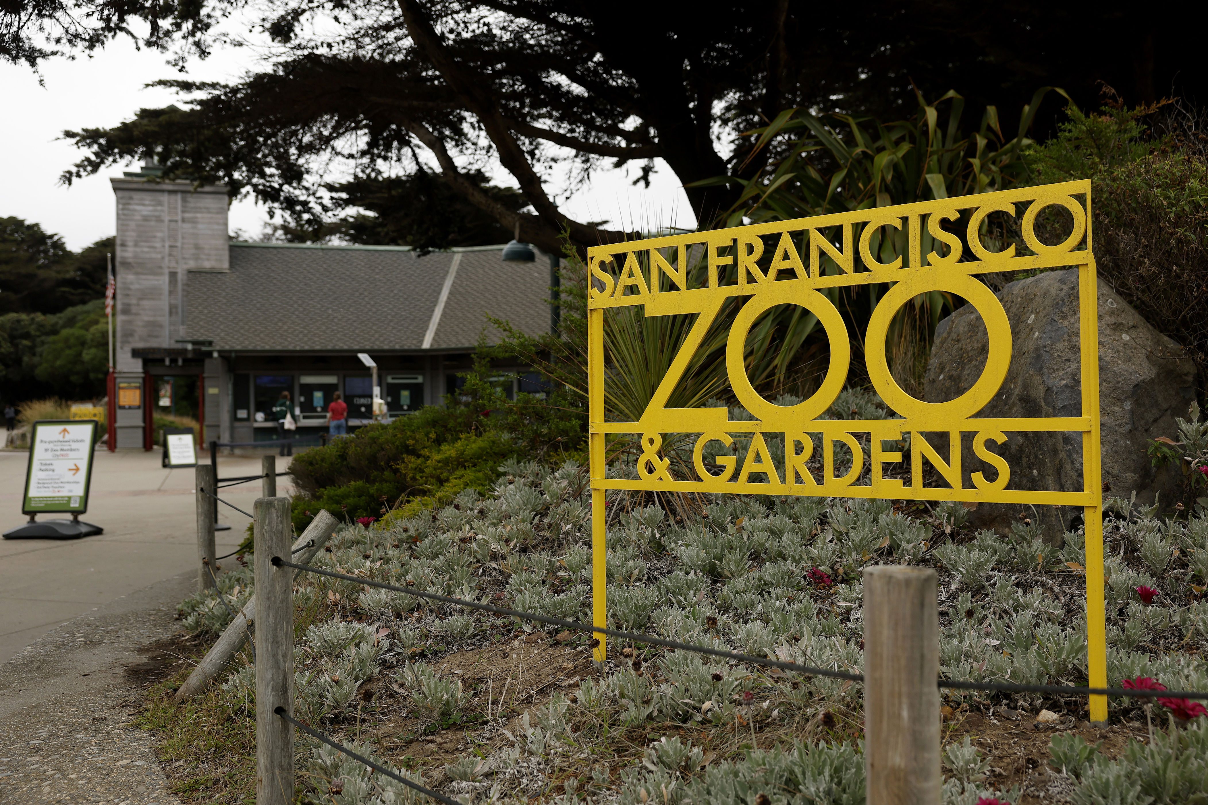 Zoológico de San Francisco ofrece entrada gratis para niños