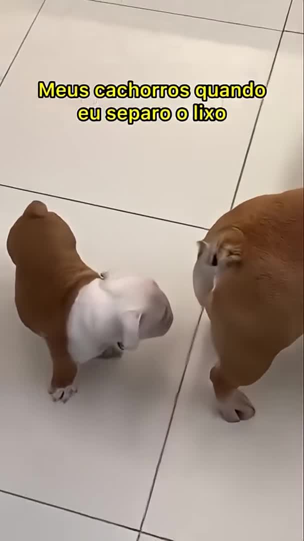 Separar lixo é sempre um evento