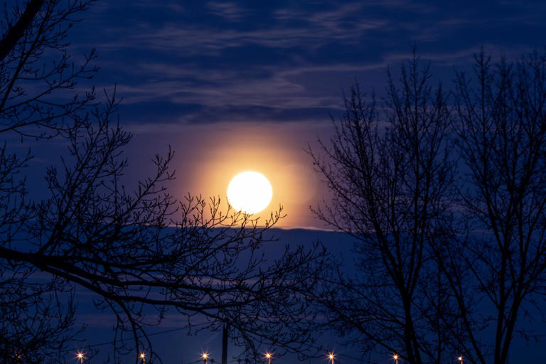 Luna piena del lupo, dove e come vederla in Italia tra il 2 e il 3 ...