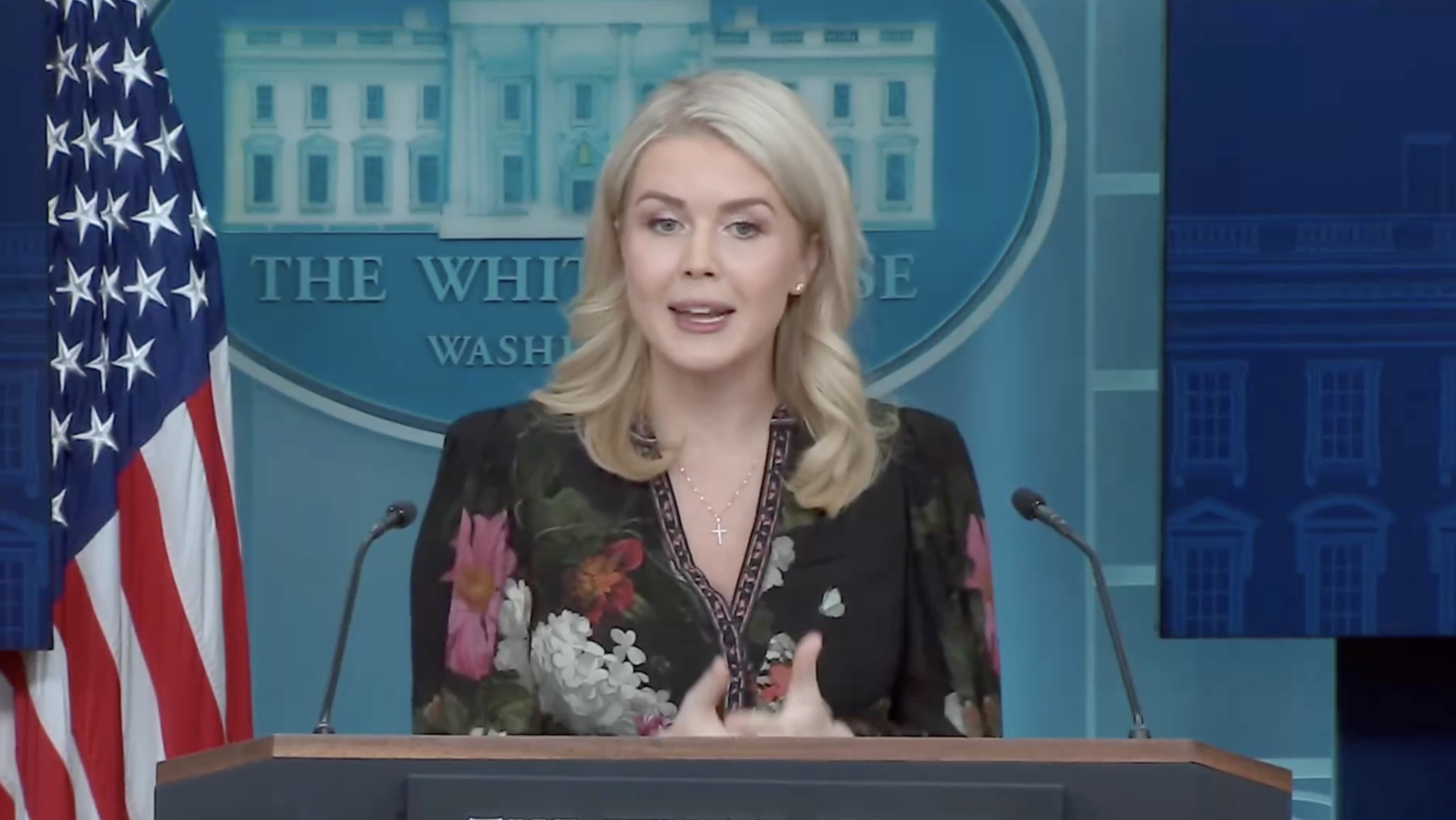 'What evidence does he have?': Karoline Leavitt trembles as reporter ...