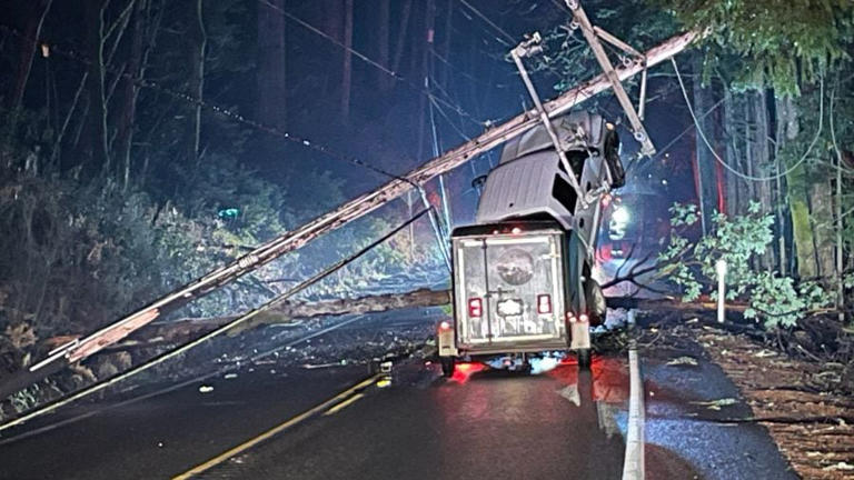 Vehicle strikes power lines on US 101 in Lilliwaup, blocking highway ...