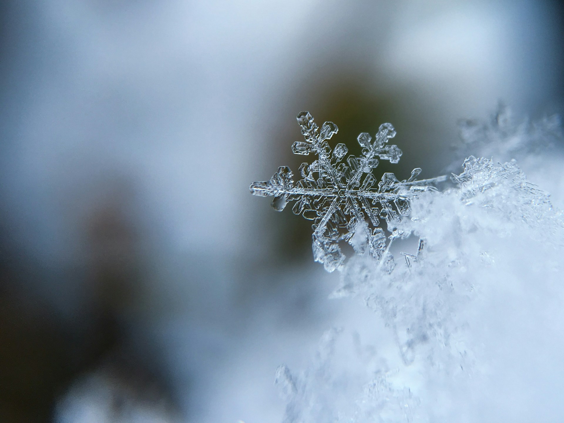 Winter is back in Lancashire with frosts and hail expected as spring ...