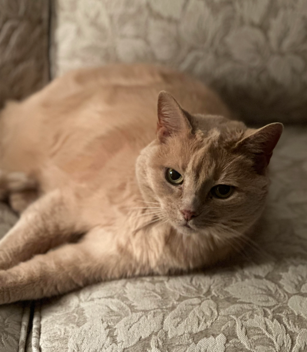 I never expected my mom to move into a retirement community. I now ...