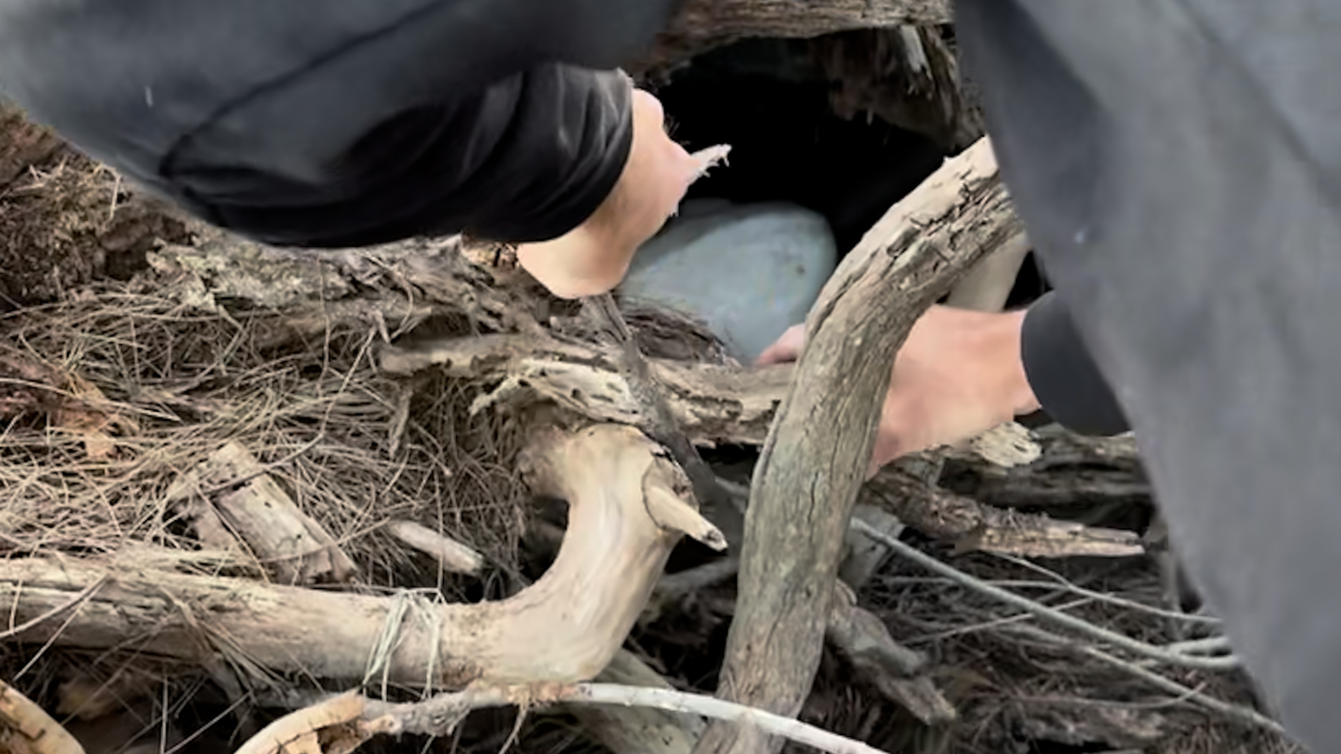 No one thought she’d survive the night 🥹 ️