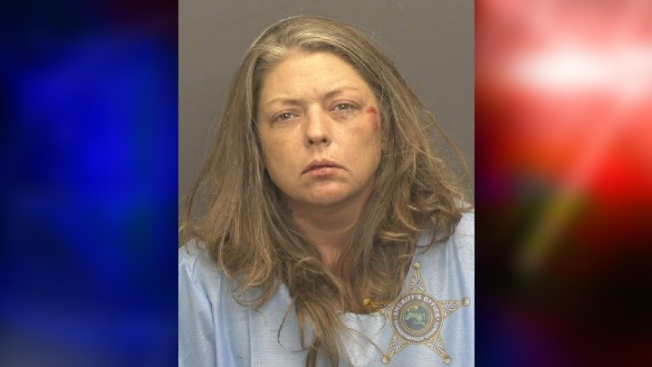 Overnight chase ends on the bank of the Ohio River in Henderson