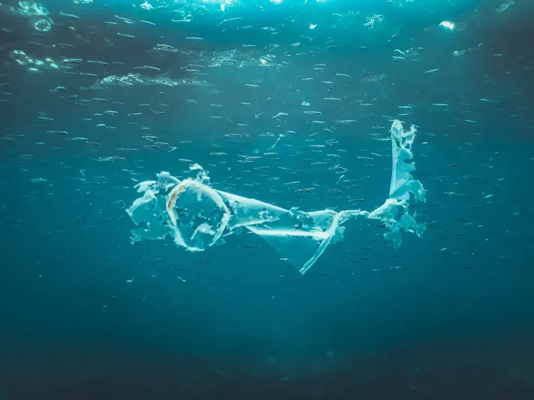 7 everyday habits that are quietly wrecking the environment (most ...