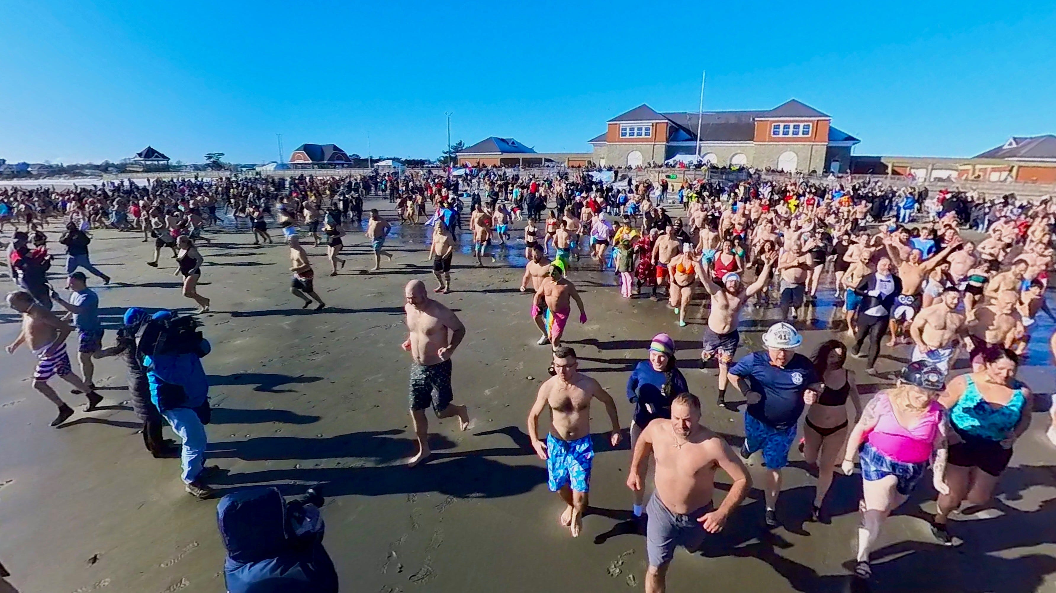 50th Penguin Plunge for Special Olympics sets fundraising record