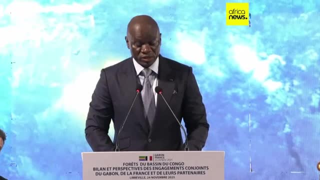 Gabon's President Nguema starts the year with major government reshuffle