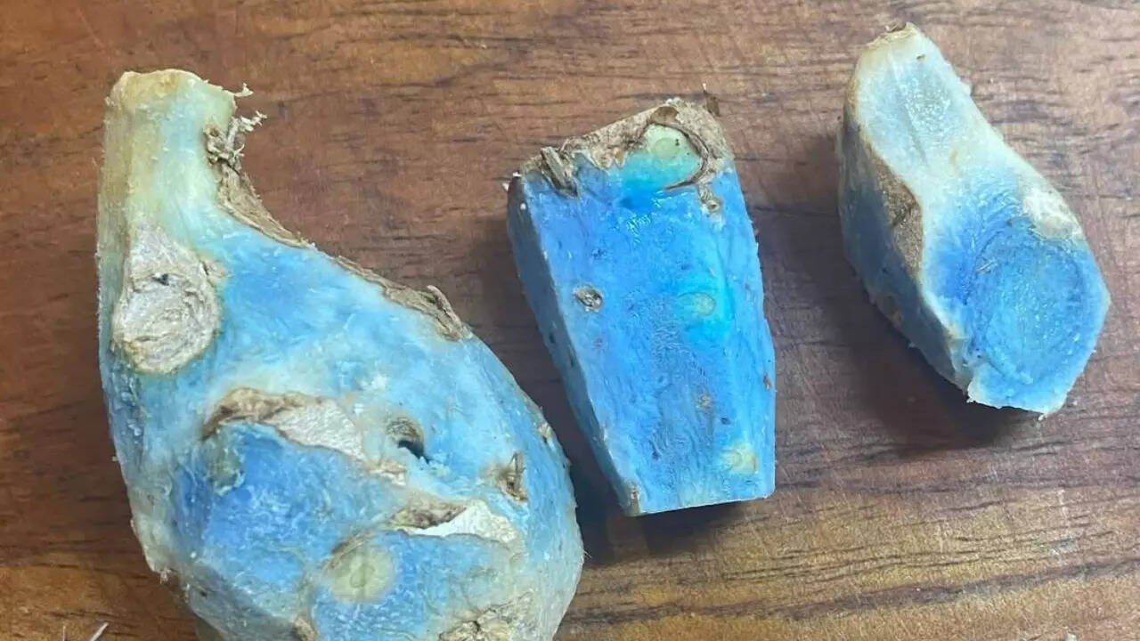 Blue turmeric: What makes it different and its lesser-known benefits