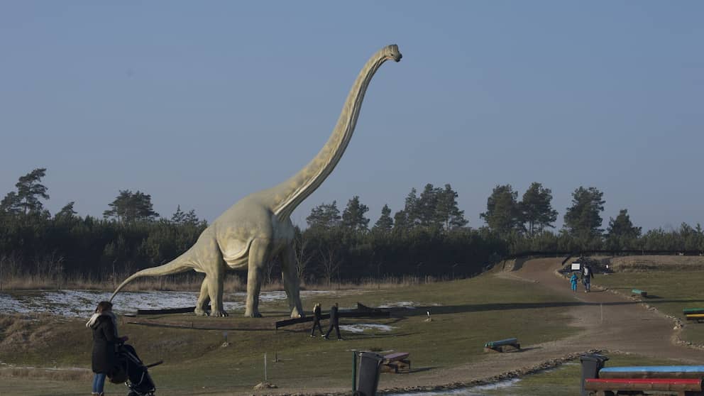 10 schöne Ausflüge für Neujahr