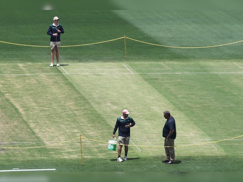 Sydney Cricket Ground curator confident in pitch colour ahead of 5th ...