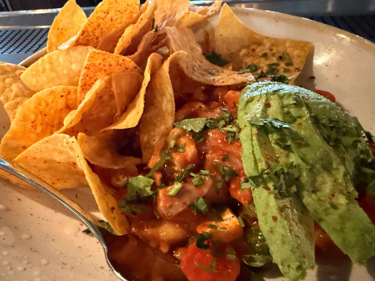 Happy hour project: Alley Cat Oyster Bar offers warm welcome in the ...