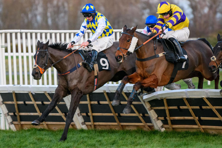Borders racehorse trainers Sandy Thomson and Ewan Whillans get 2026 off ...