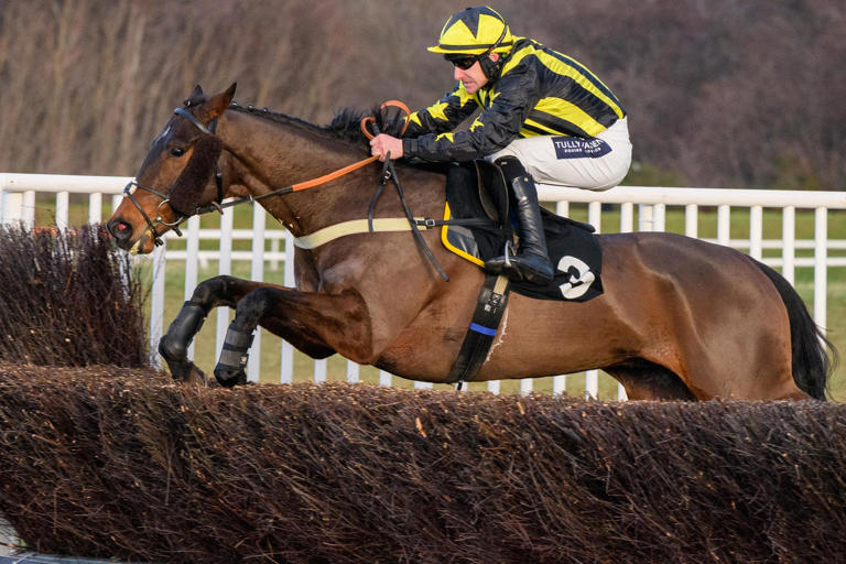 Borders racehorse trainers Sandy Thomson and Ewan Whillans get 2026 off ...