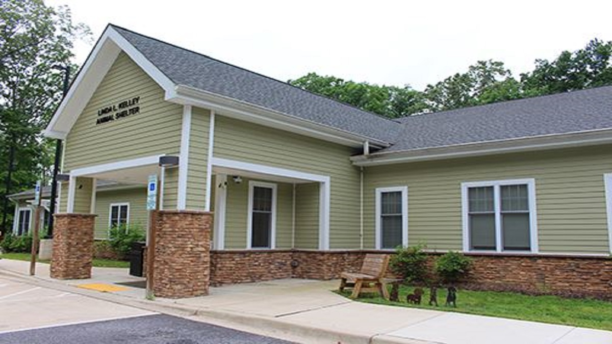 Linda L Kelley Shelter offers waived fees in new year promotion