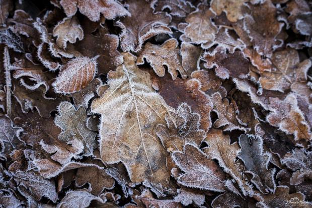 Amber cold weather alert is extended for Dorset