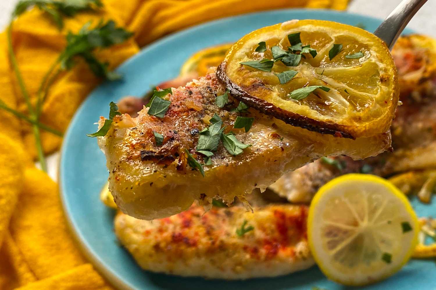 12 best types of fish in the world