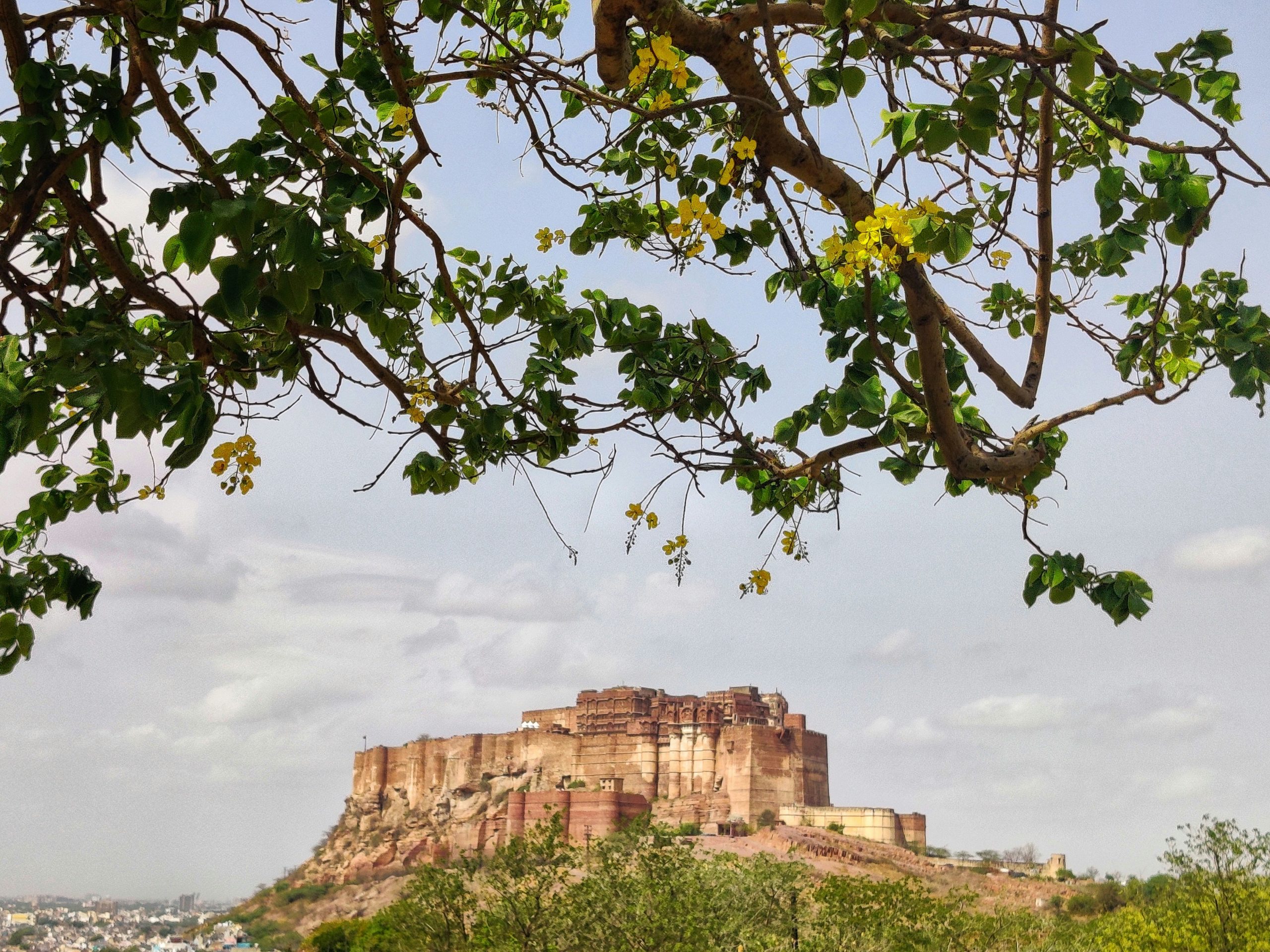 Historic forts with guided tours today