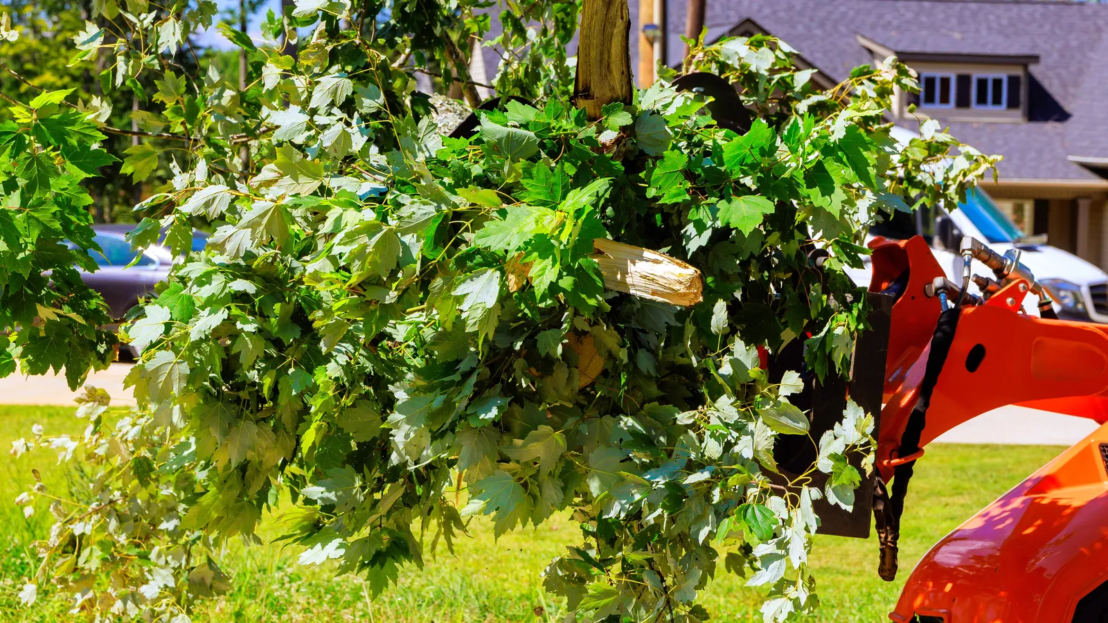 How I gave my garden a second life using yard trimmings