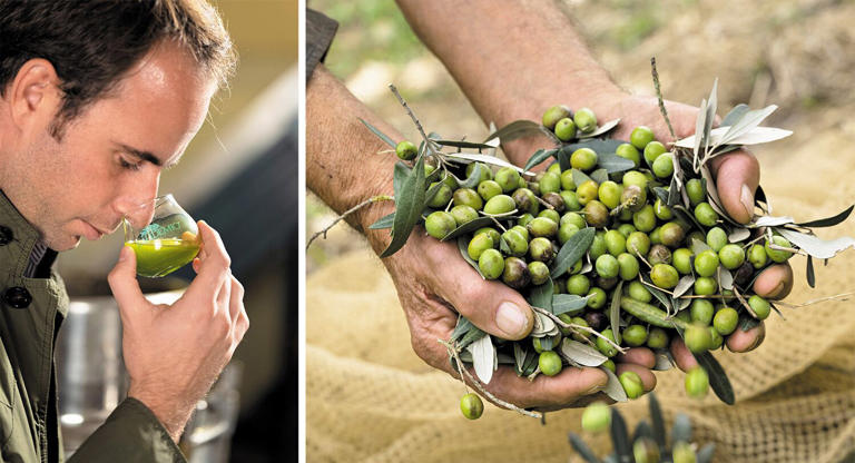 Tuscany's rustic cuisine vs. Emilia Romagna's gastronomic riches