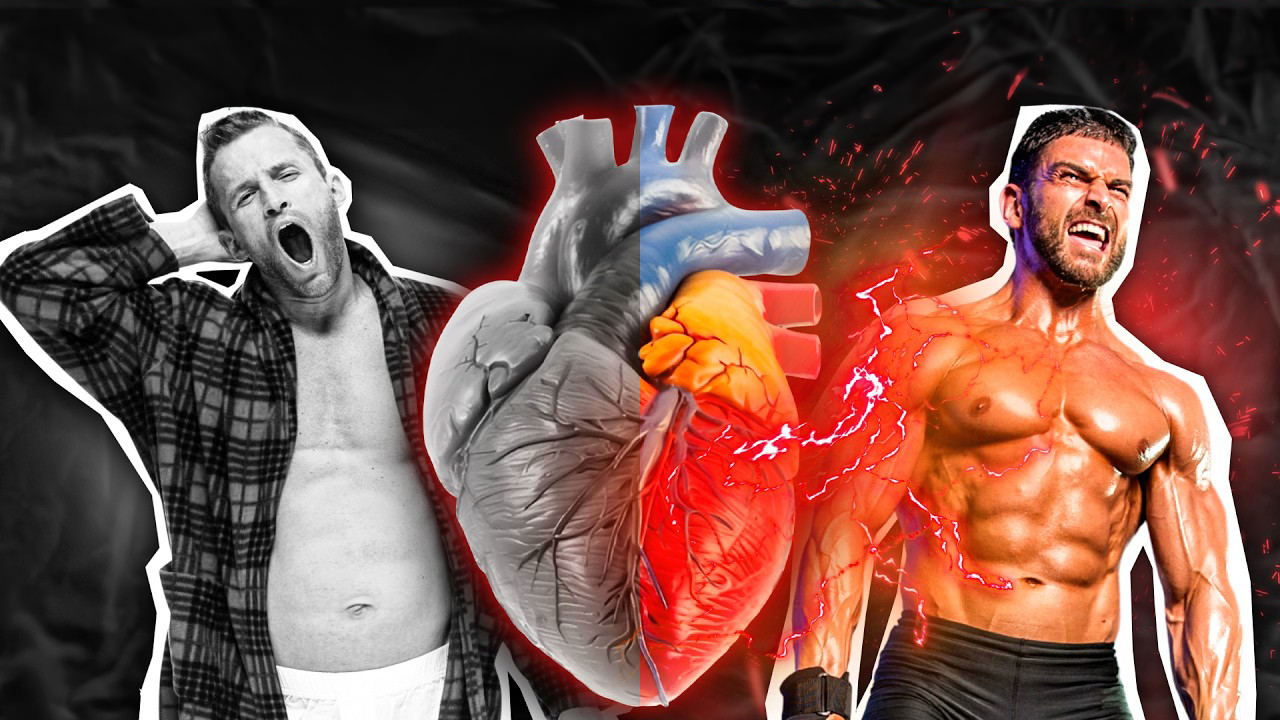 The athlete’s heart: Vital adaptations