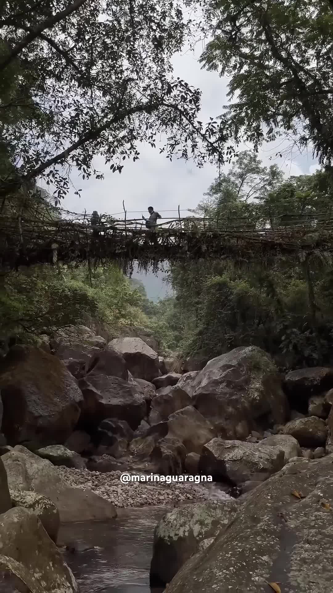 Quão incrível é a natureza?🌿 🥹