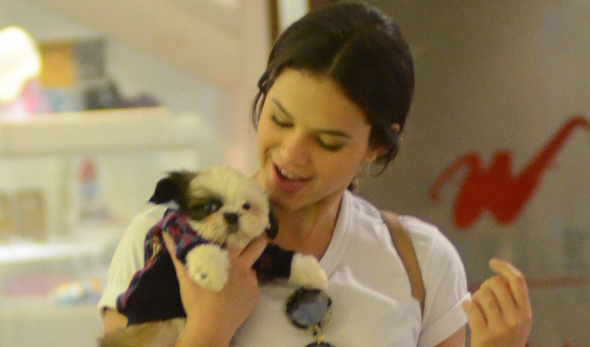 Segundo a psicologia, o que significa falar com animais de estimação ...