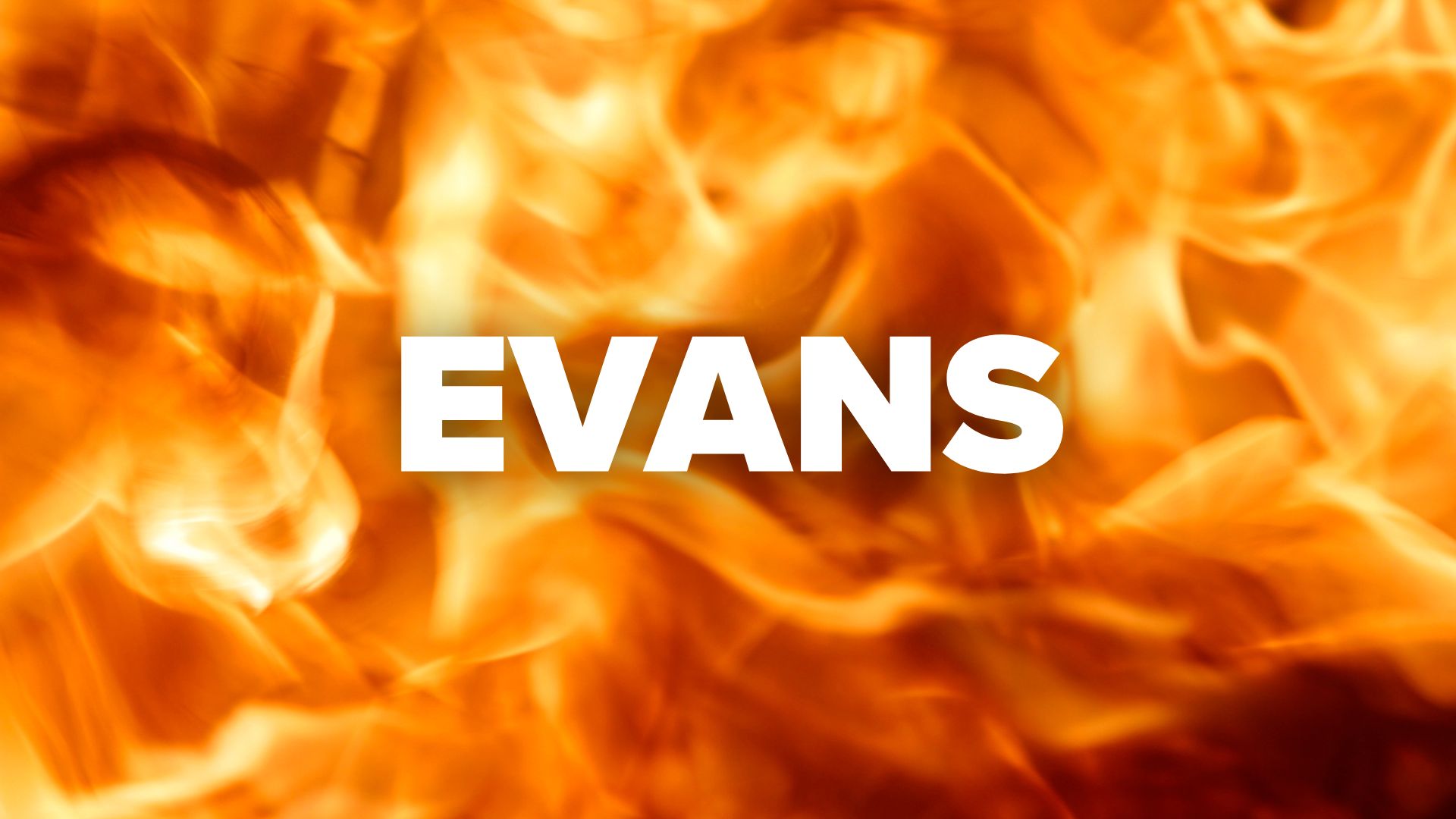 One person, several cats killed in Evans house fire