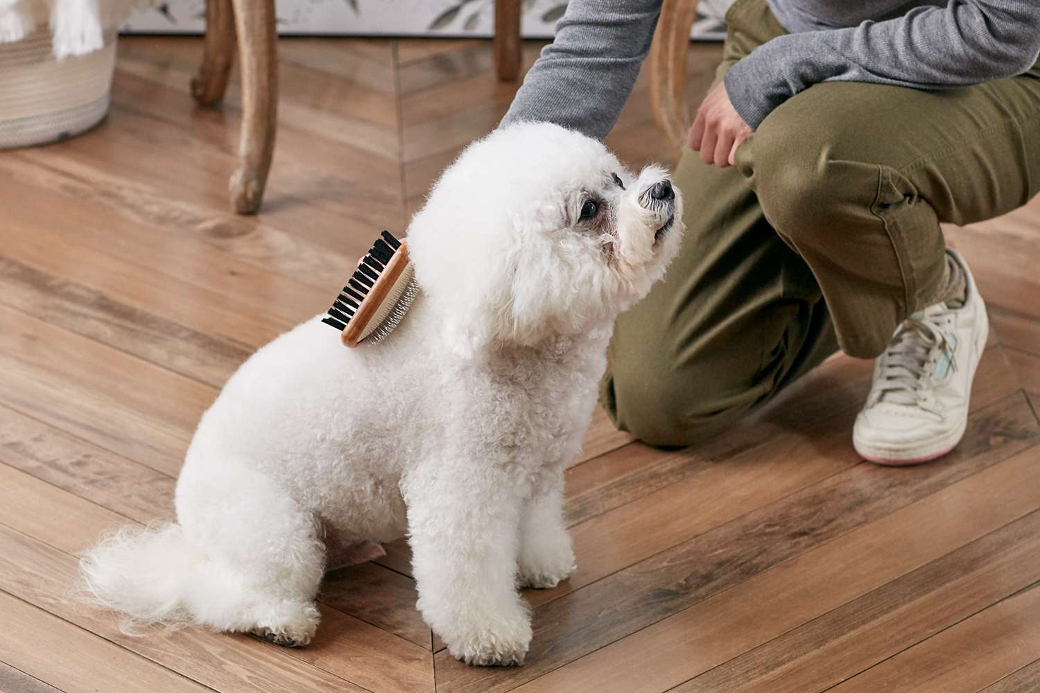 Woman refuses to loan her brother $2K after he insults her career, says ...