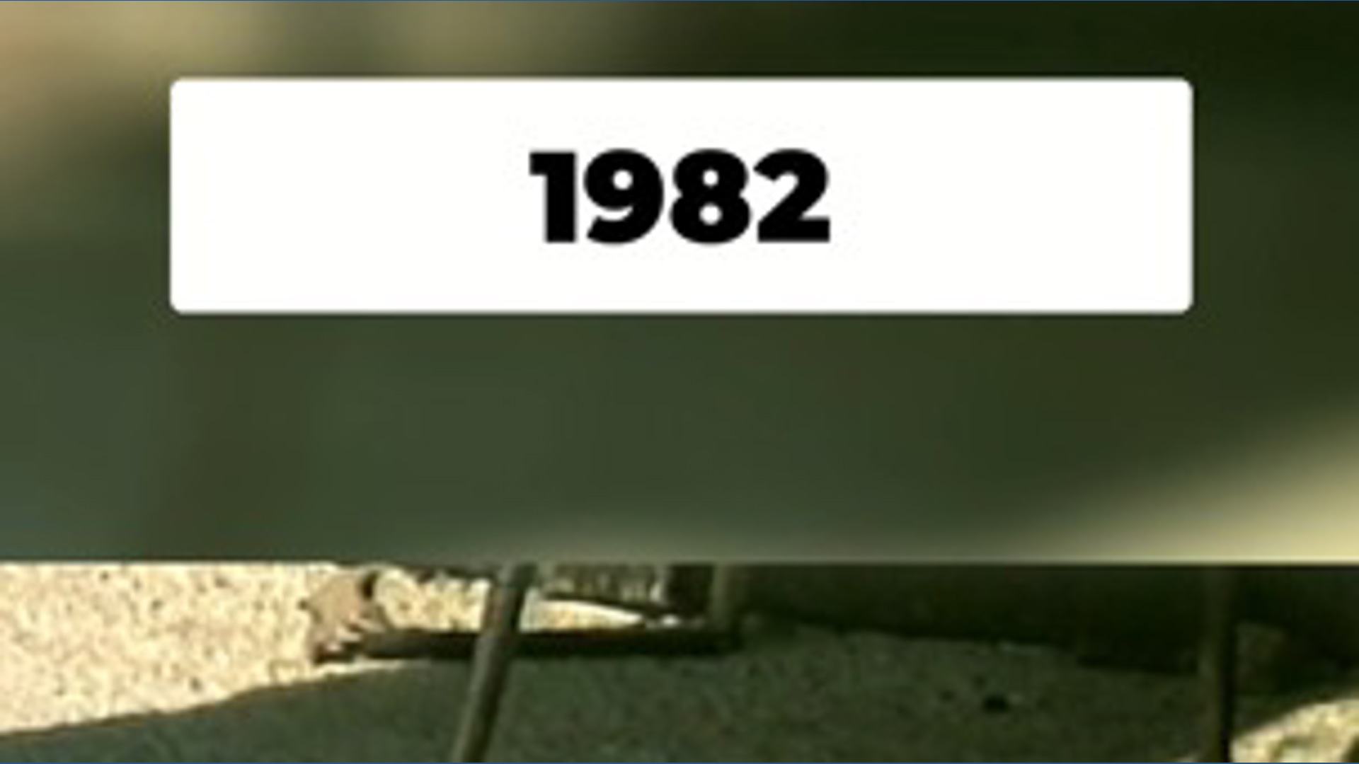 5NEWS vault | Three-legged turtle visits Fayetteville couple in 1982