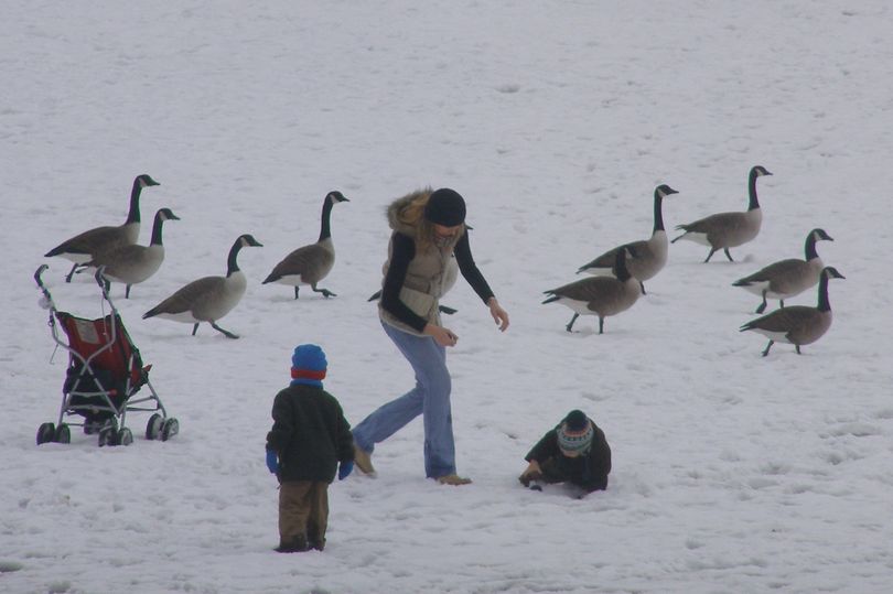 Exact date UK 'snow bomb' set to arrive with temperatures dropping to -6C